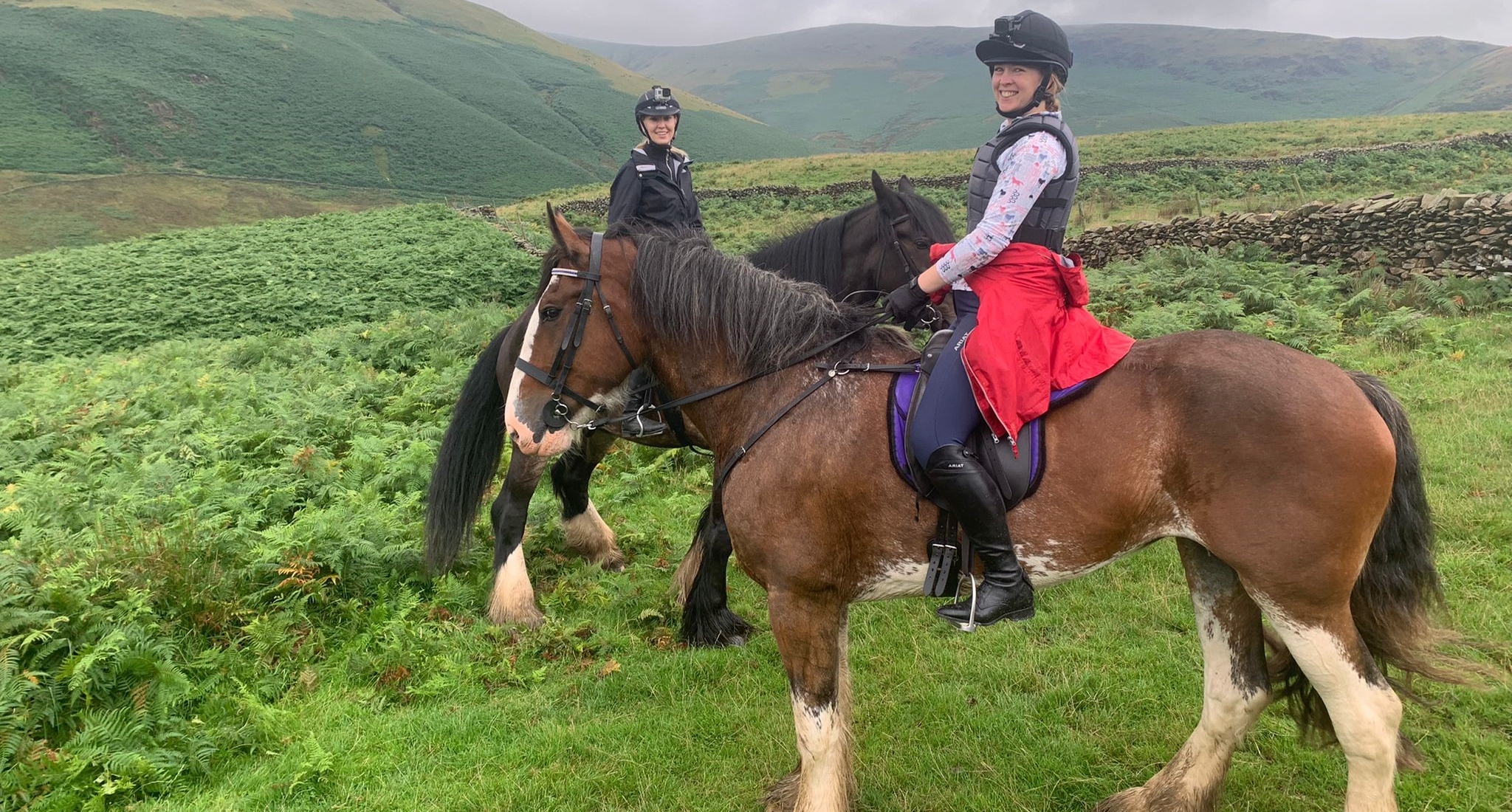 Hills = Horsepower! Harnessing the Power of Hill Work - Champion ...